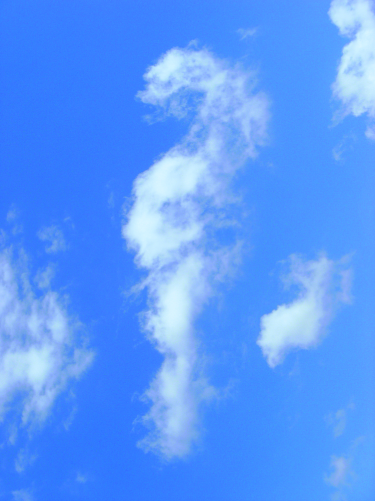 New Book Clouds That Look Like Things Features Clouds That Look Like Things Huffpost Uk