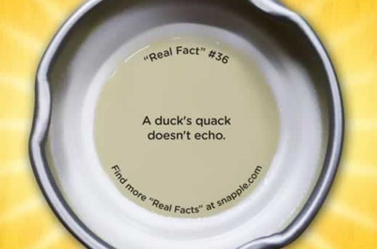 5 Untrue Snapple Facts HuffPost