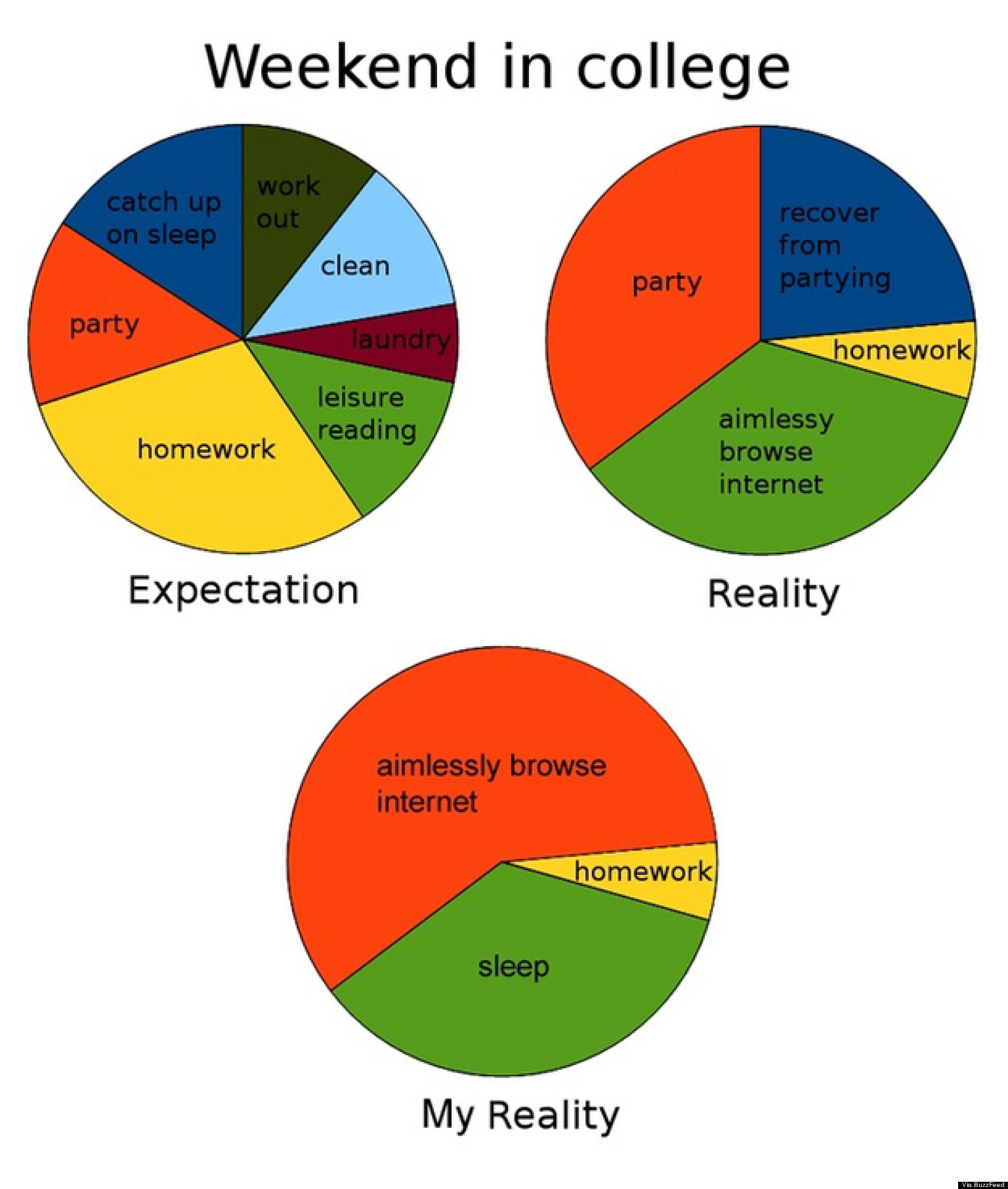 College Explained Perfectly In Pie Charts BuzzFeed