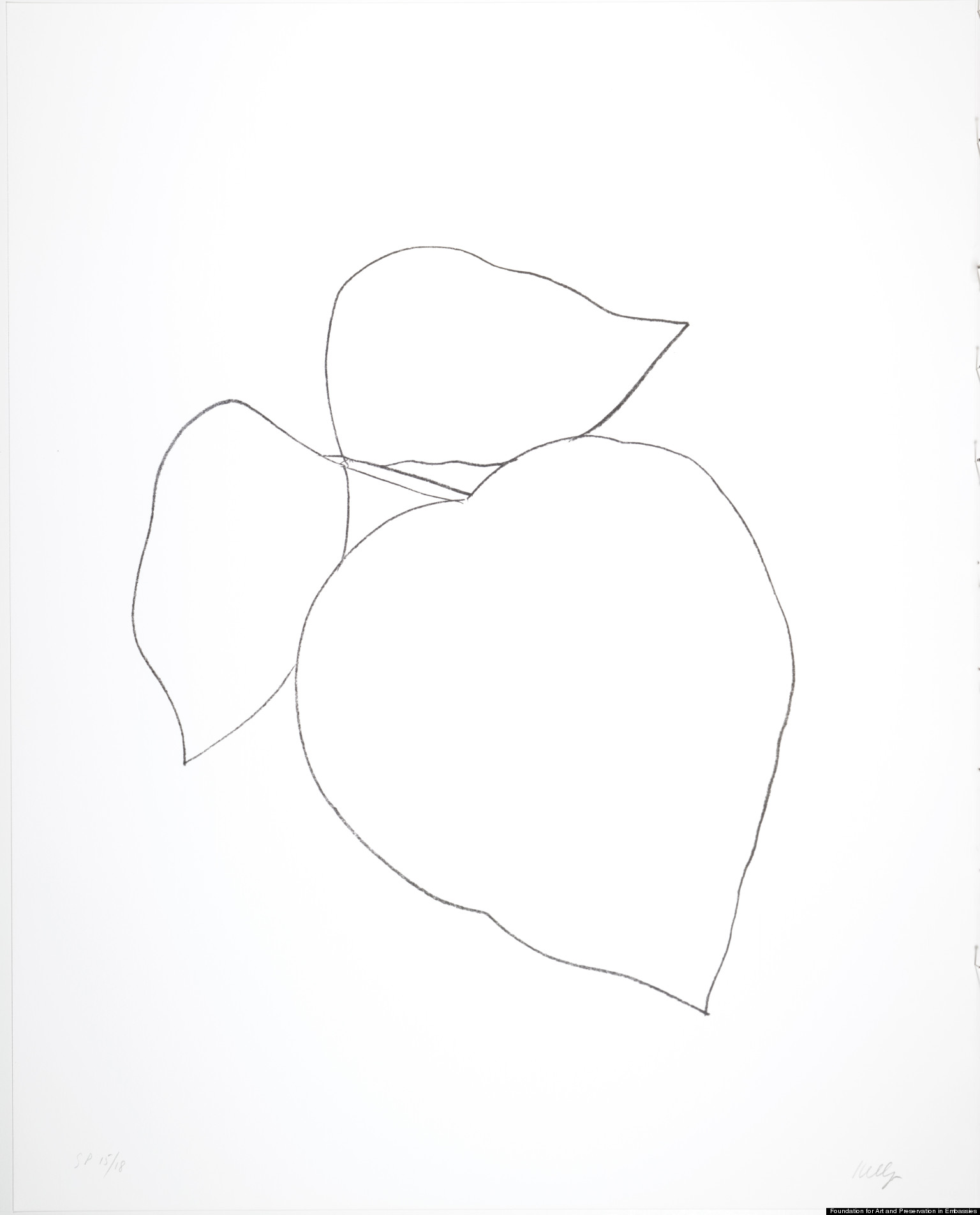 Ellsworth Kelly Drawings