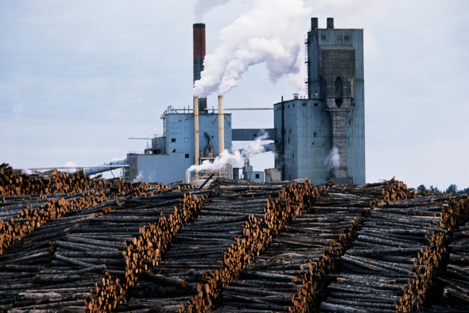 Carrier Lumber Mill Explosion Injures 1 carrier-lumber-mill-explosion-injures-1