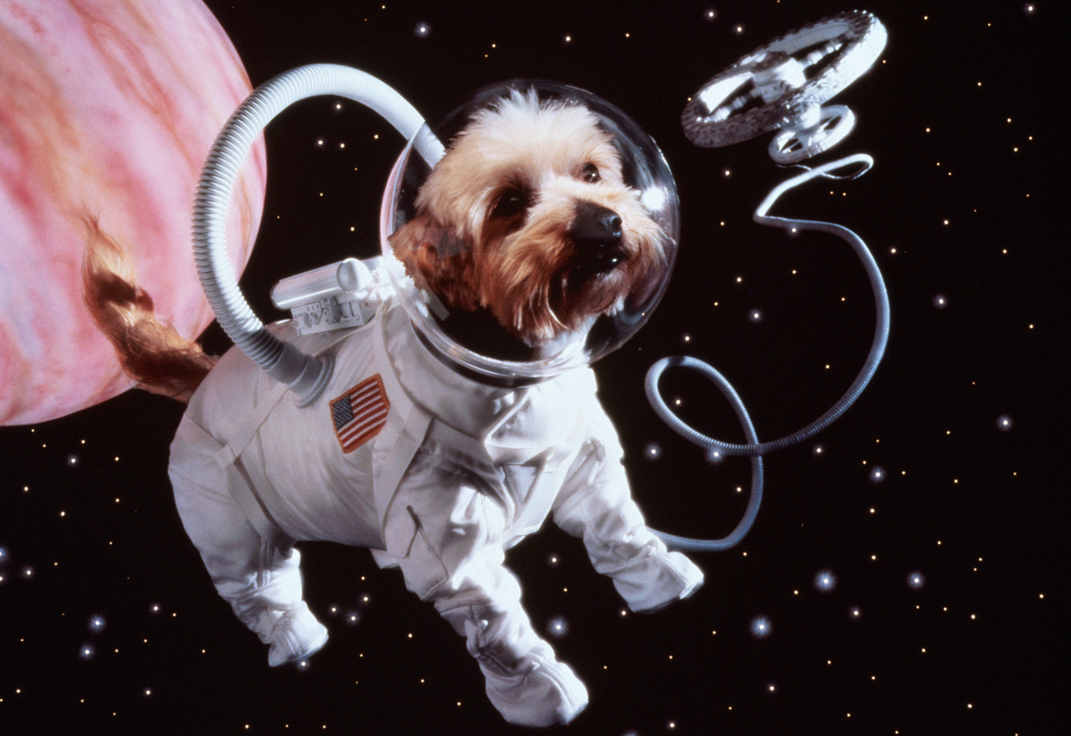 Freeze Dried Sperm Bank May Help Put Animals On Other Planets HuffPost