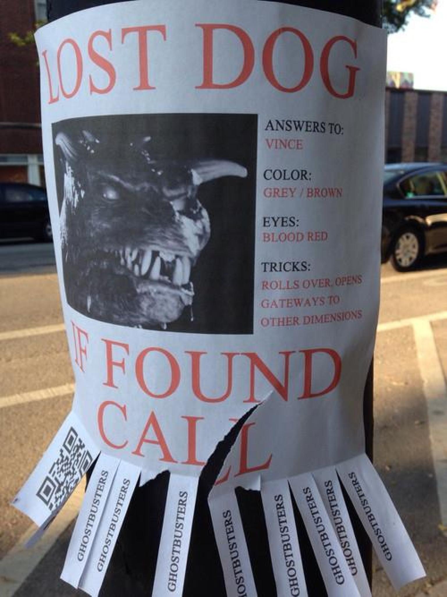 Best Lost Dog Flyer Ever Or Best Lost Dog Flyer Ever HuffPost