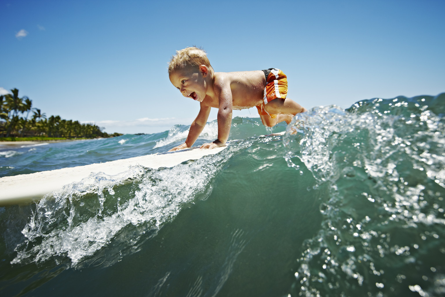 These Child Surf Prodigies Riding The Waves Are Totally Adorable HuffPost These Child Surf Prodigies Riding The Waves Are Totally Adorable HuffPost
