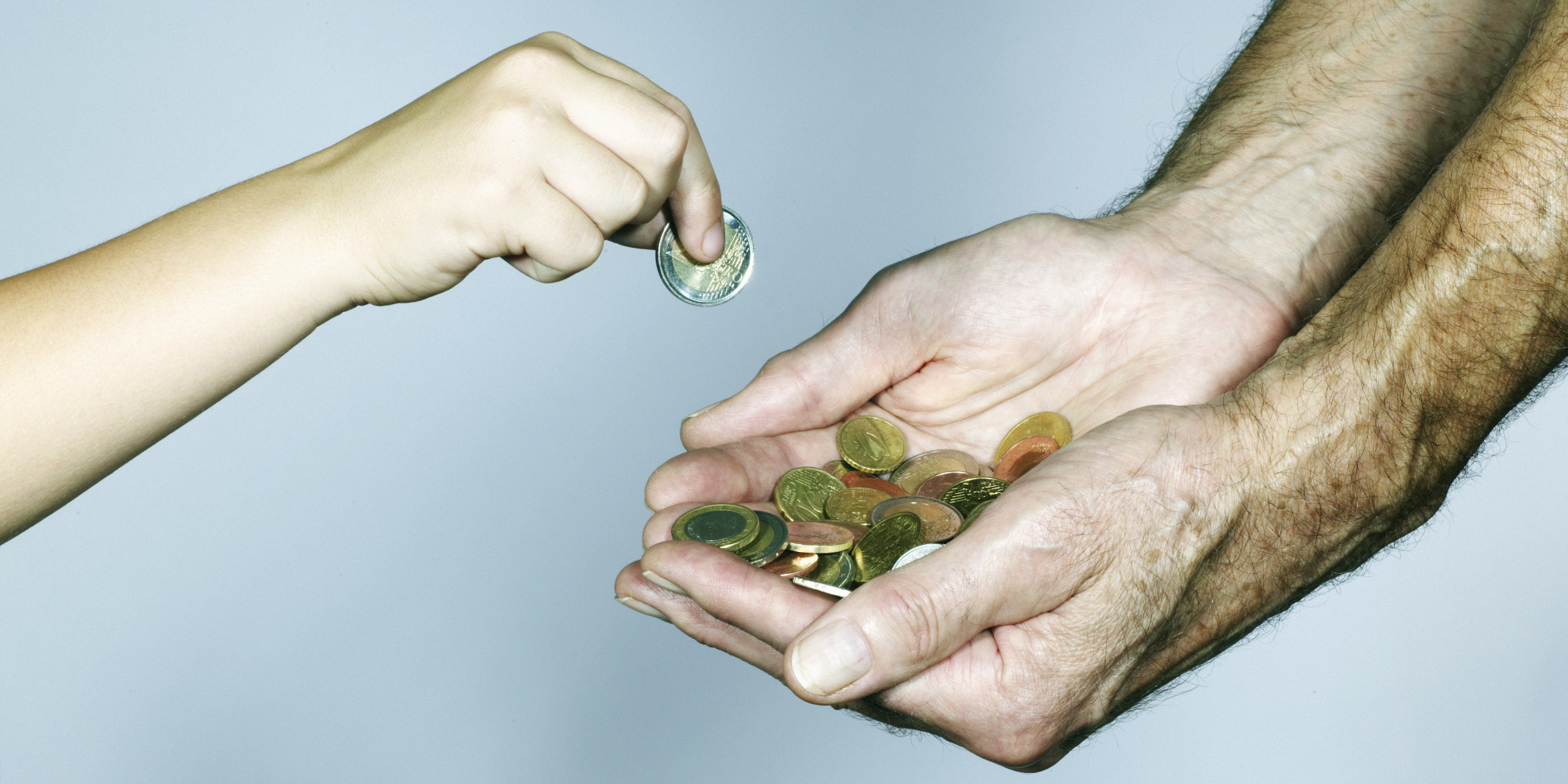 5 Great Ways To Help Out Charities This GivingTuesday The Nature 