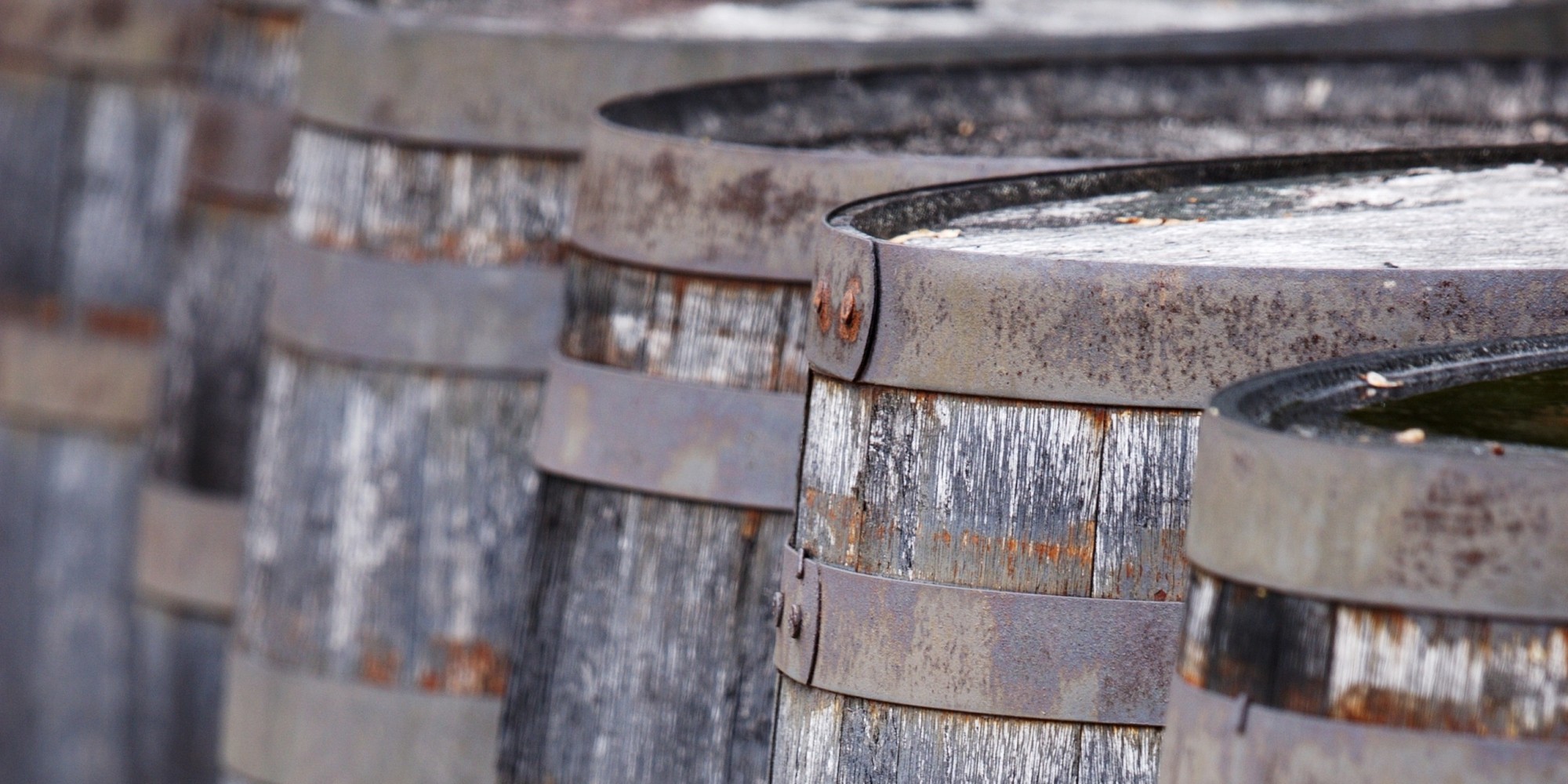 700 Year Old Poop Barrels Still Stink Researchers Say HuffPost 700-year-old-poop-barrels-still-stink-researchers-say-huffpost