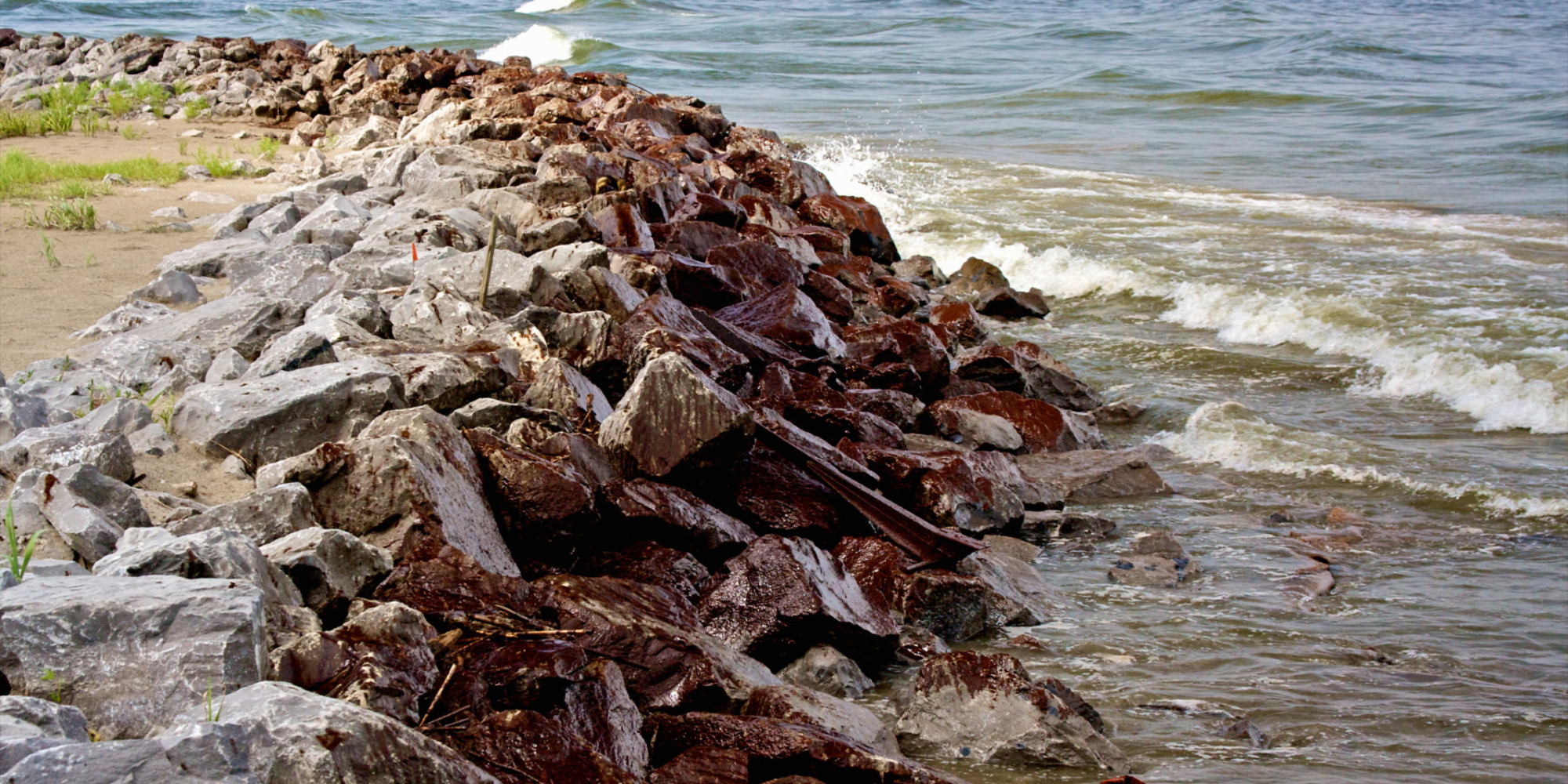 Four Years After The BP Oil Spill Hope For A Full Recovery In The Gulf Four Years After The BP Oil Spill Hope For A Full Recovery In The Gulf