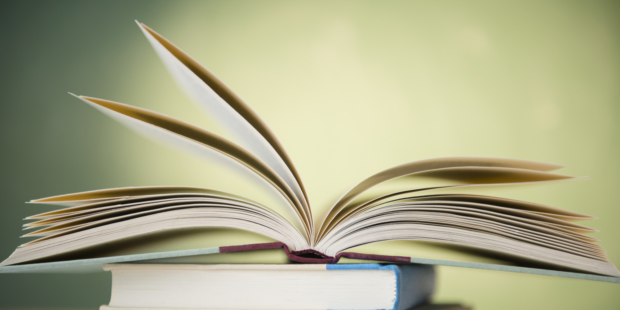 The Best Popular Fiction Of 2015 HuffPost The Best Popular Fiction Of 2015 HuffPost