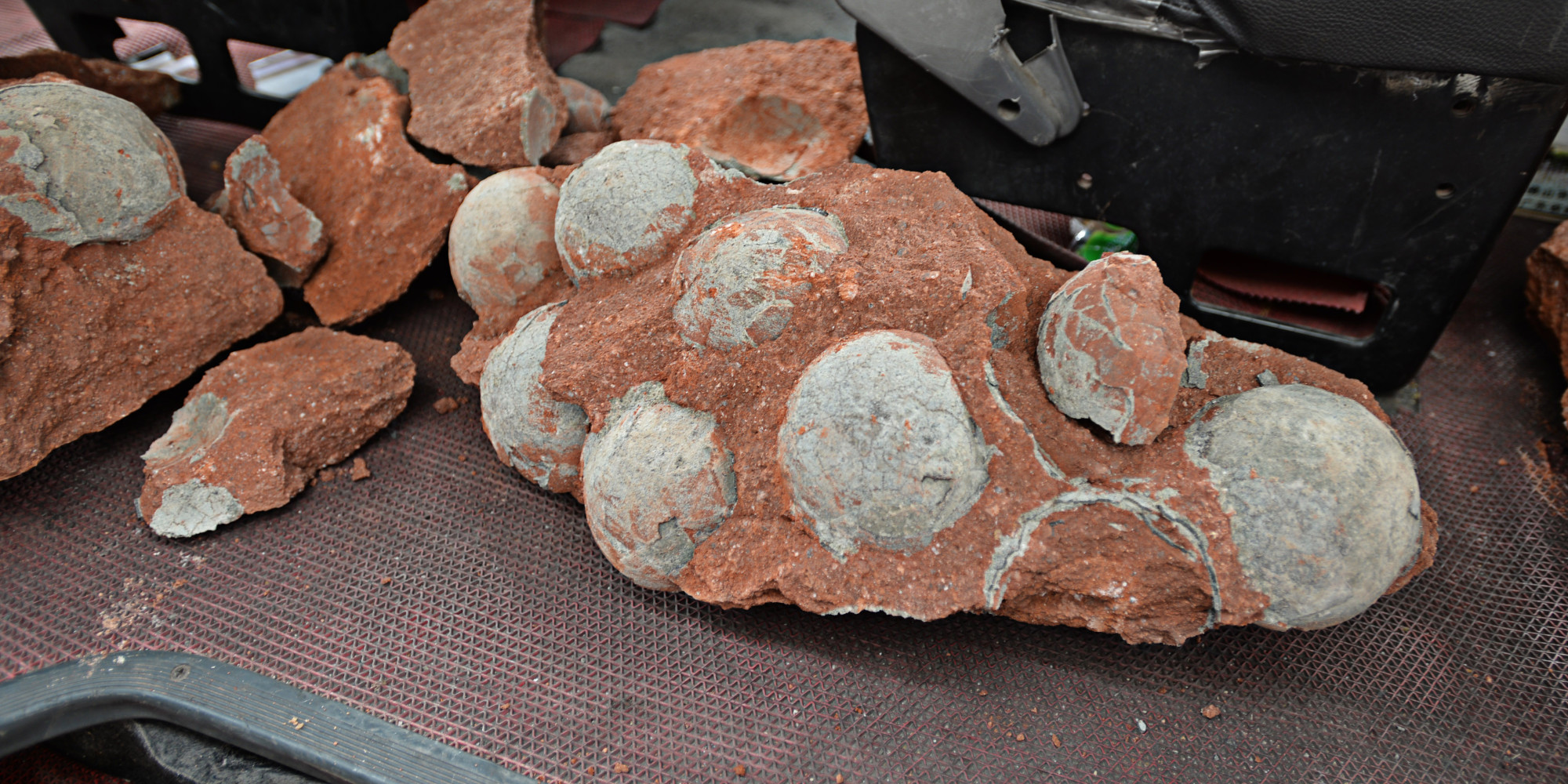Dozens Of Dinosaur Eggs Discovered In China HuffPost