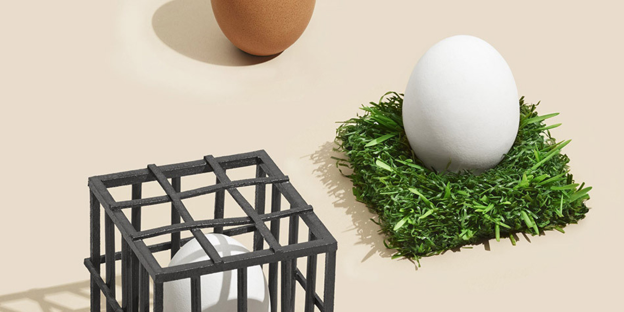 4 Claims On Egg Labels And What They Really Mean HuffPost