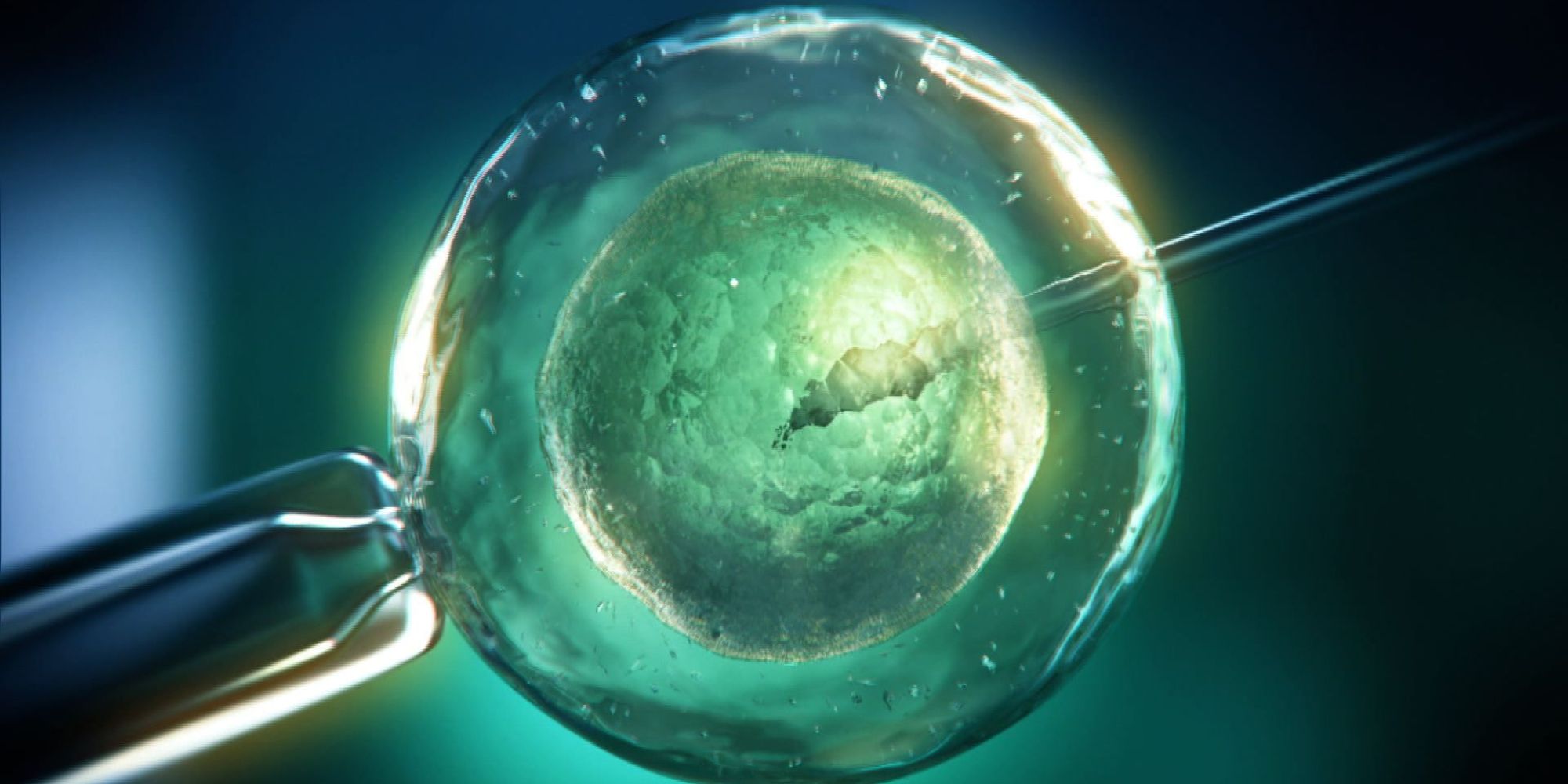 Experts Weigh In On Study Showing Correlation Between IVF And Autism experts-weigh-in-on-study-showing-correlation-between-ivf-and-autism