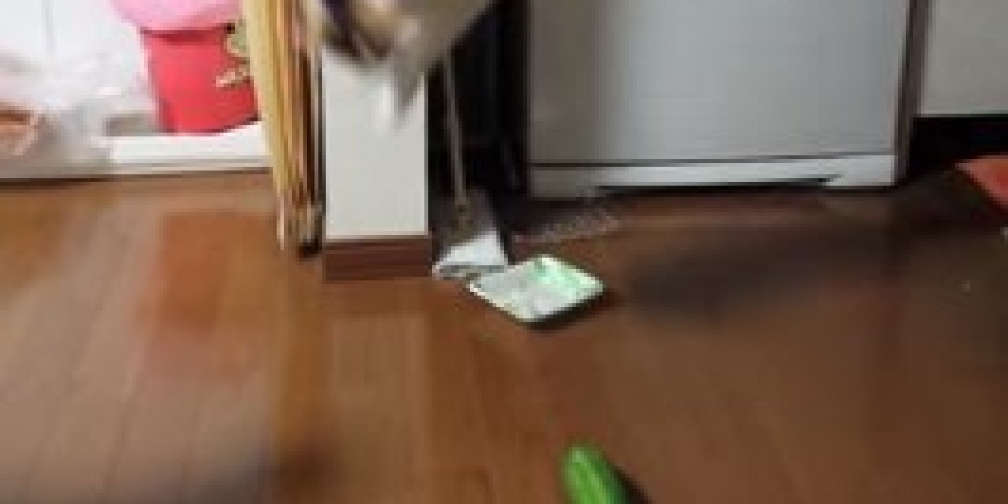 Cat Freaked Out By Sneaky Cucumber Huffpost