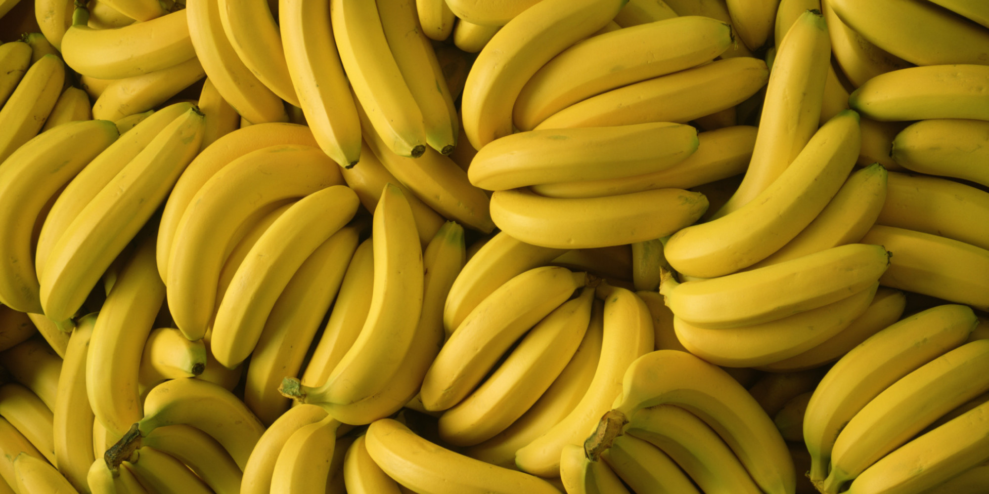 Banana Drama Fruit Faces Extinction After Deadly Disease Threatens To 