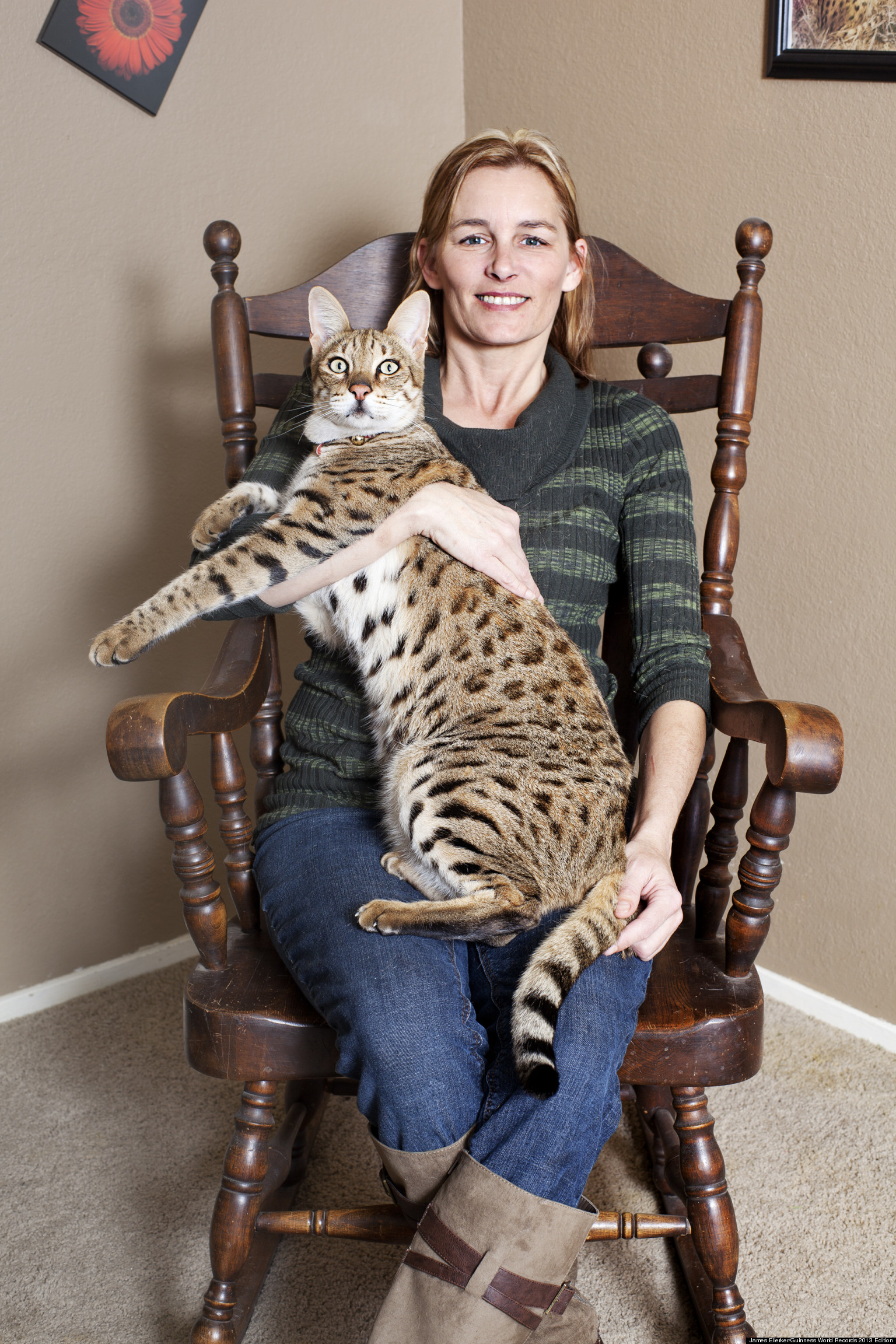 Guinness World Records 2013 Honorees Include Tallest Cat Tallest Dog Guinness World Records 2013 Honorees Include Tallest Cat Tallest Dog