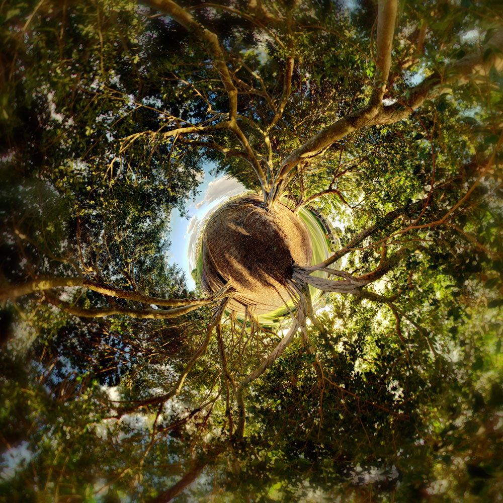 Randy Scott Slavin's 'Alternate Perspectives' Photo Series Shows A 360 ...