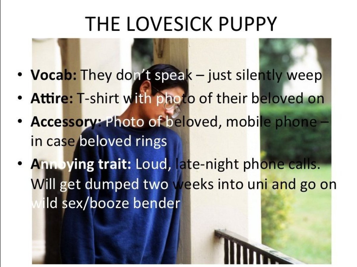 The 12 Student Stereotypes - From Gap Yah To The Student Journo ...