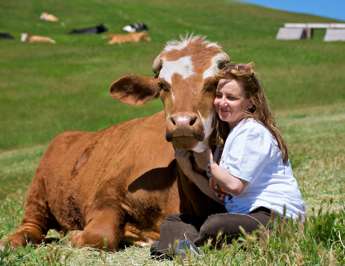 Farm Sanctuary's Animal Acres: 'Hug A Farm Animal Day' Connects Humans ...