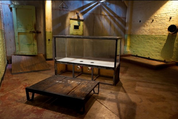 Kink.com Sets The Stage For Sex In San Francisco's Armory (PHOTOS ...