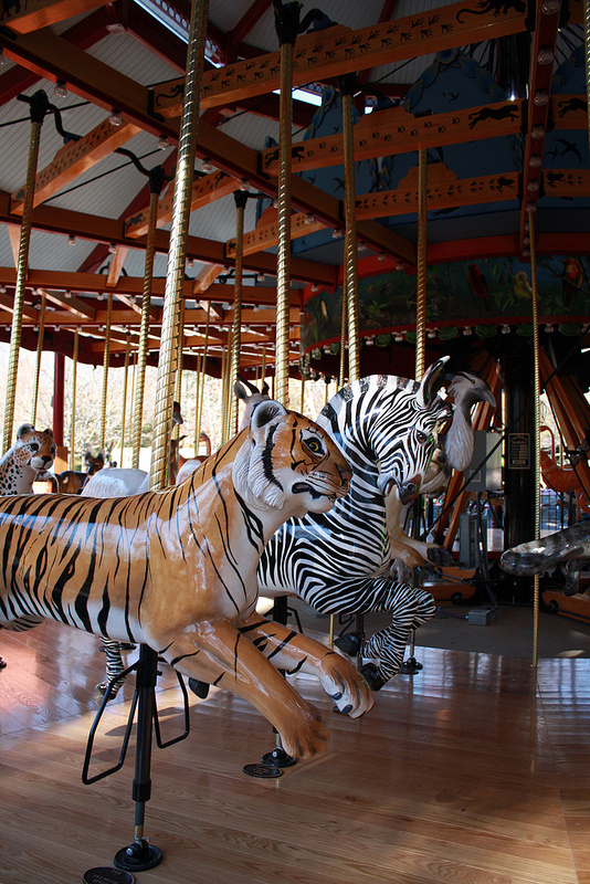 National Zoo's New Solar-Powered Carousel Is Already A Hit (PHOTOS ...