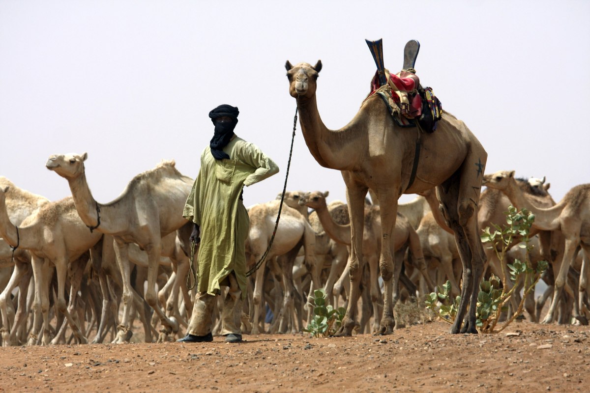 Mali's Rebels: A Look At A Mosaic Of Armed Groups | HuffPost