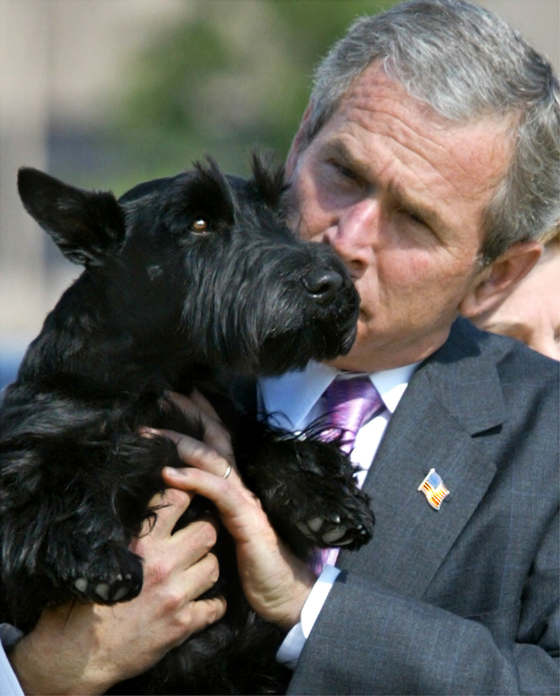 Barney Bush Dead: George W. Bush's Dog Dies At 12 | HuffPost