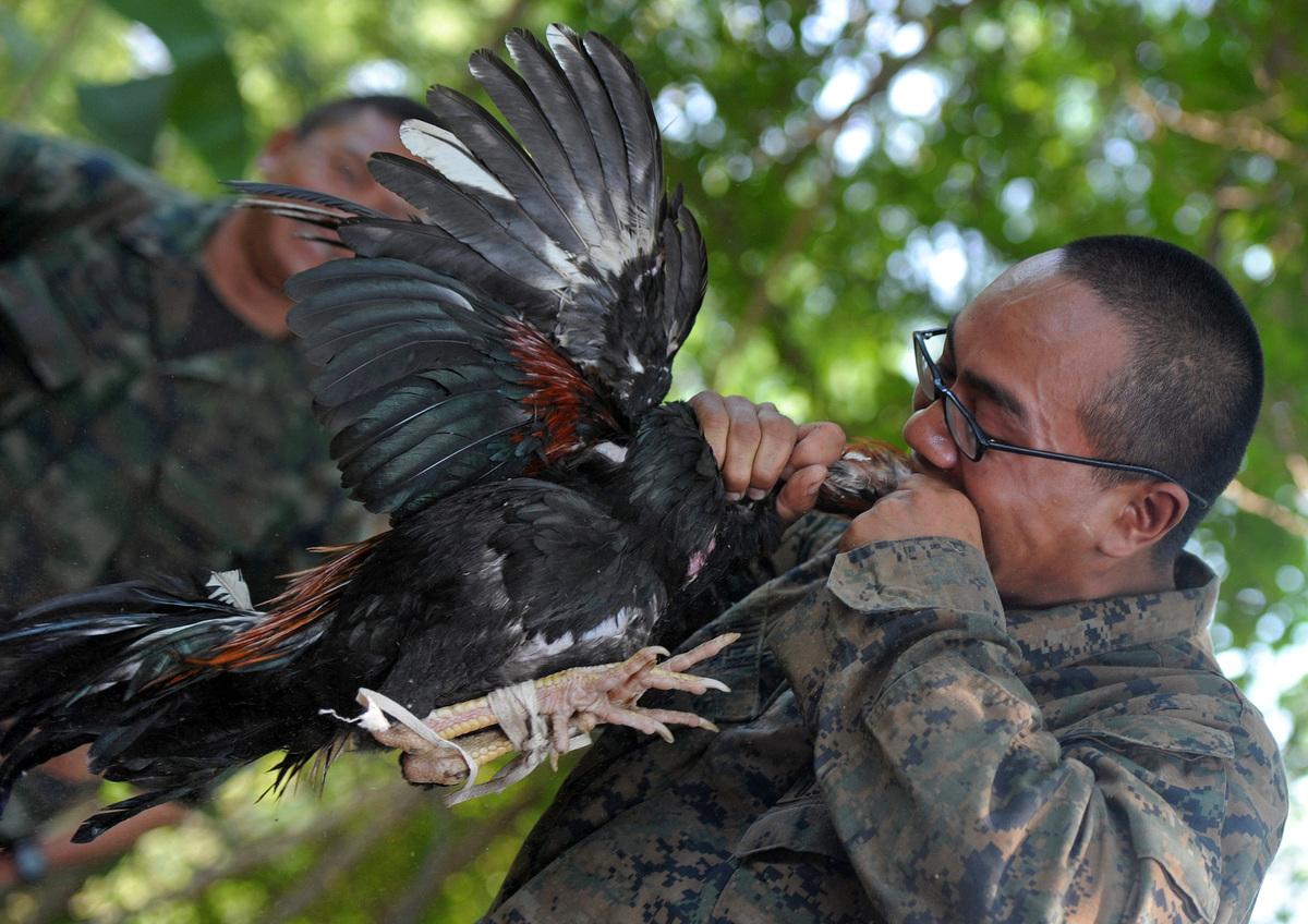 Marines Drink Cobra Blood During Jungle Survival Training Exercise In ...