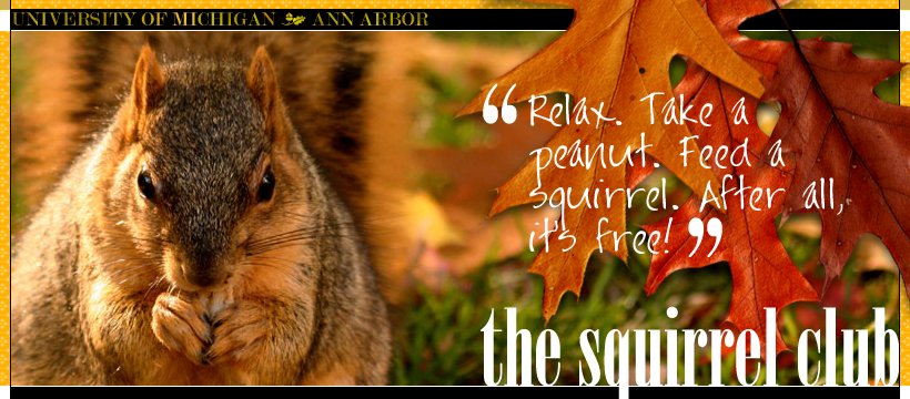 The Squirrel Club - The Colleges Most Obsessed with Squirrels