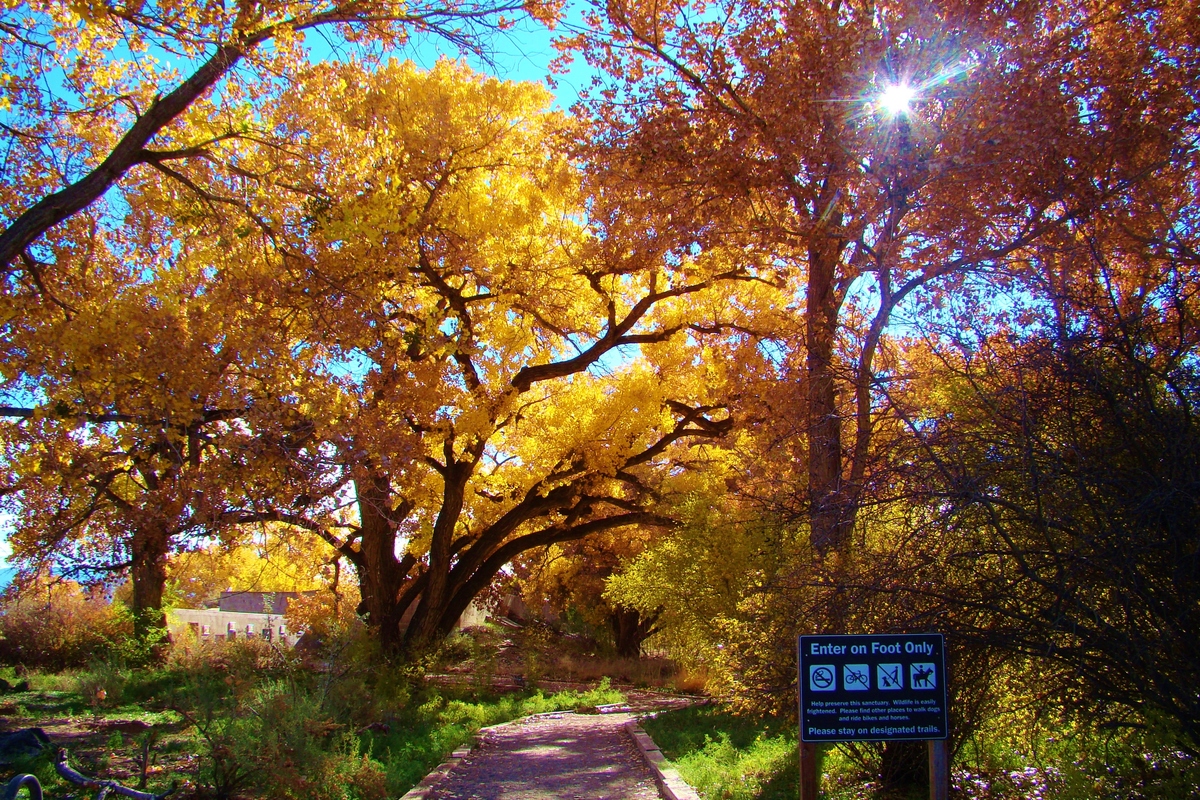 Breathtaking Trails To Savor Fall's Seasonal Beauty | HuffPost