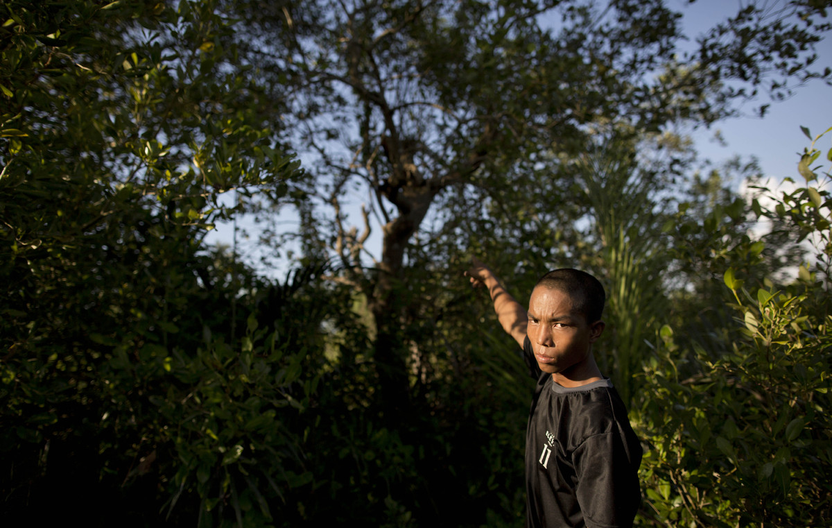 Over 350 Child Soldiers In Central African Republic Released From ...