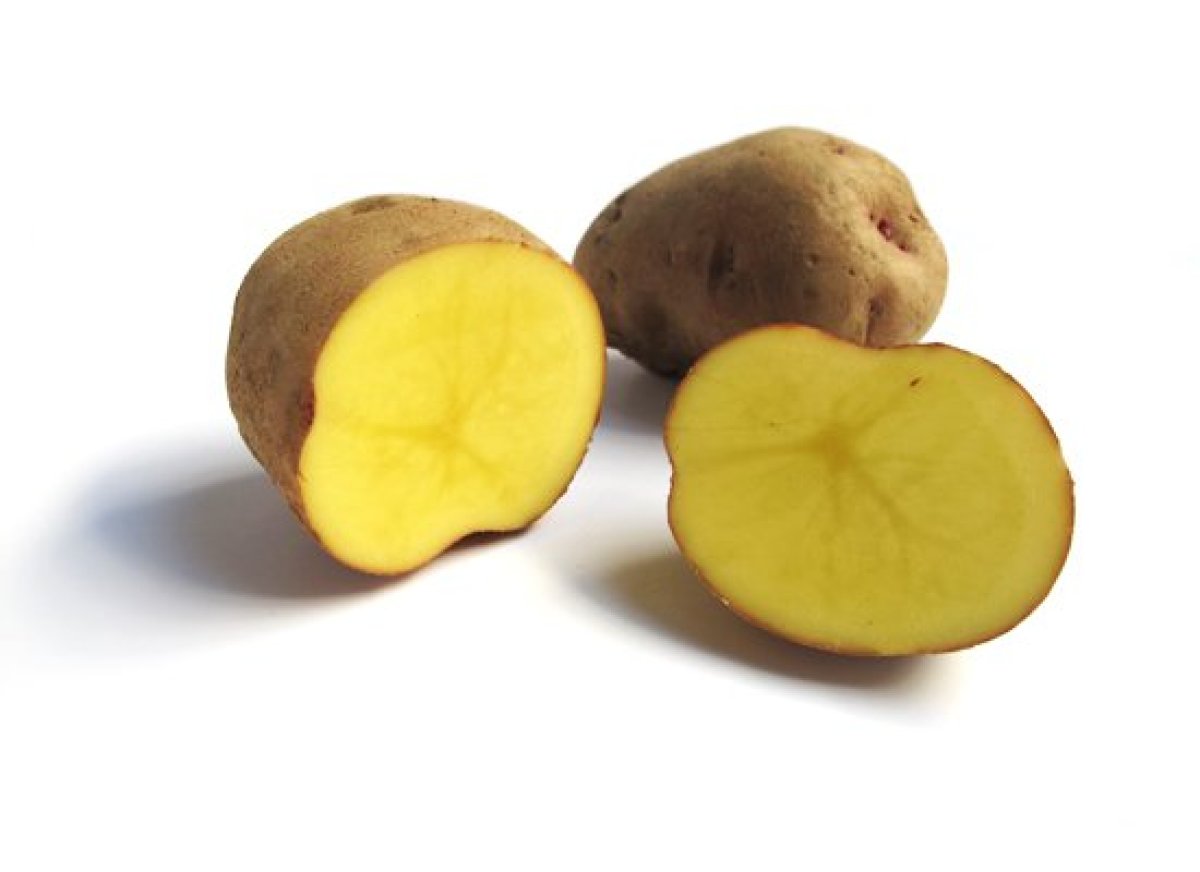 𝕾𝖚𝖕𝖊𝖗𝖓𝖆𝖑 𝕳𝖊𝖆𝖑𝖙𝖍 - A Guide To Every Type Of Potato You Need To Know