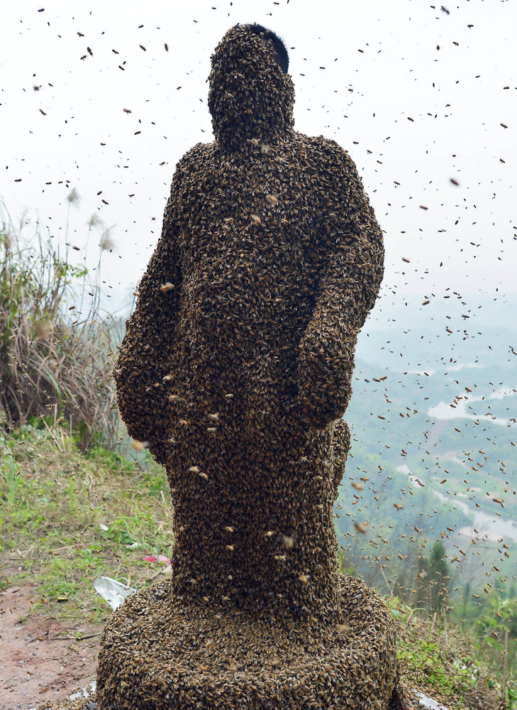Man Wears Suit Made Of 1.1 Million Bees In Attempt To Set World Record ...