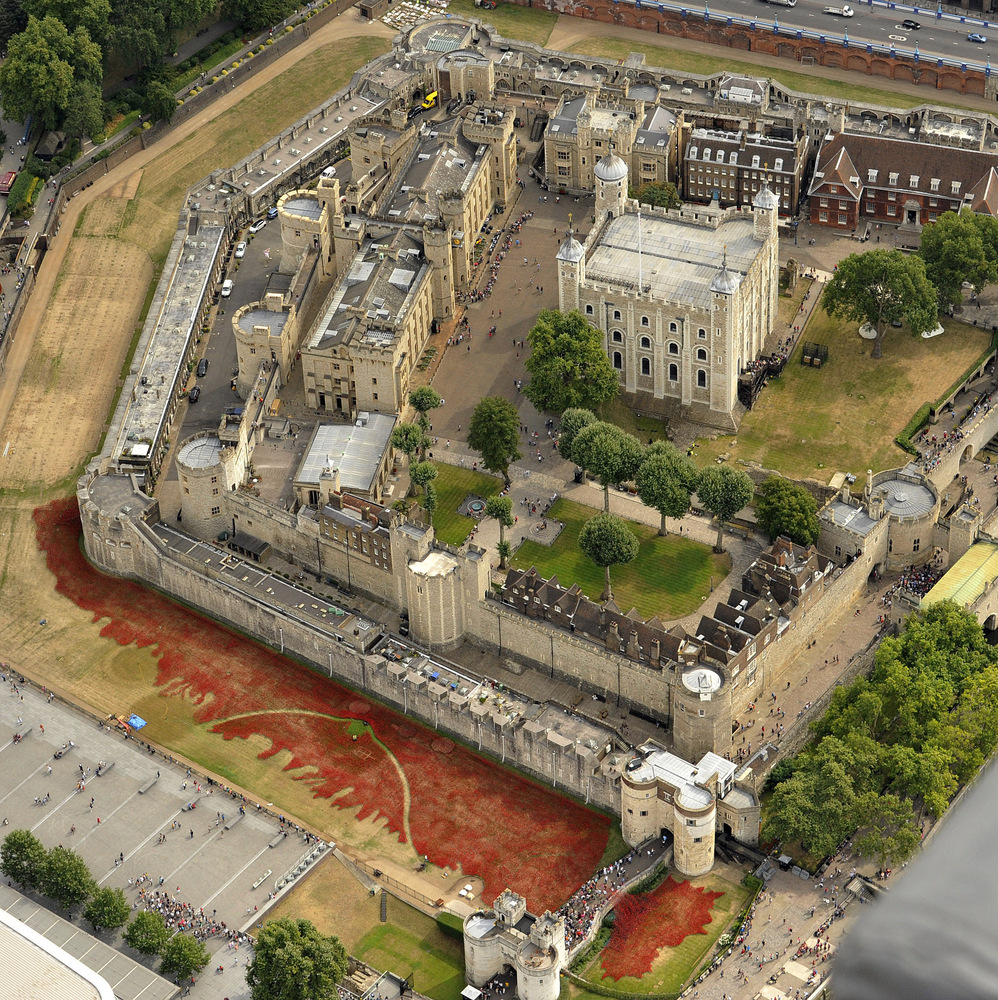 The Red Poppies at the Tower of London | Volkszone Forum