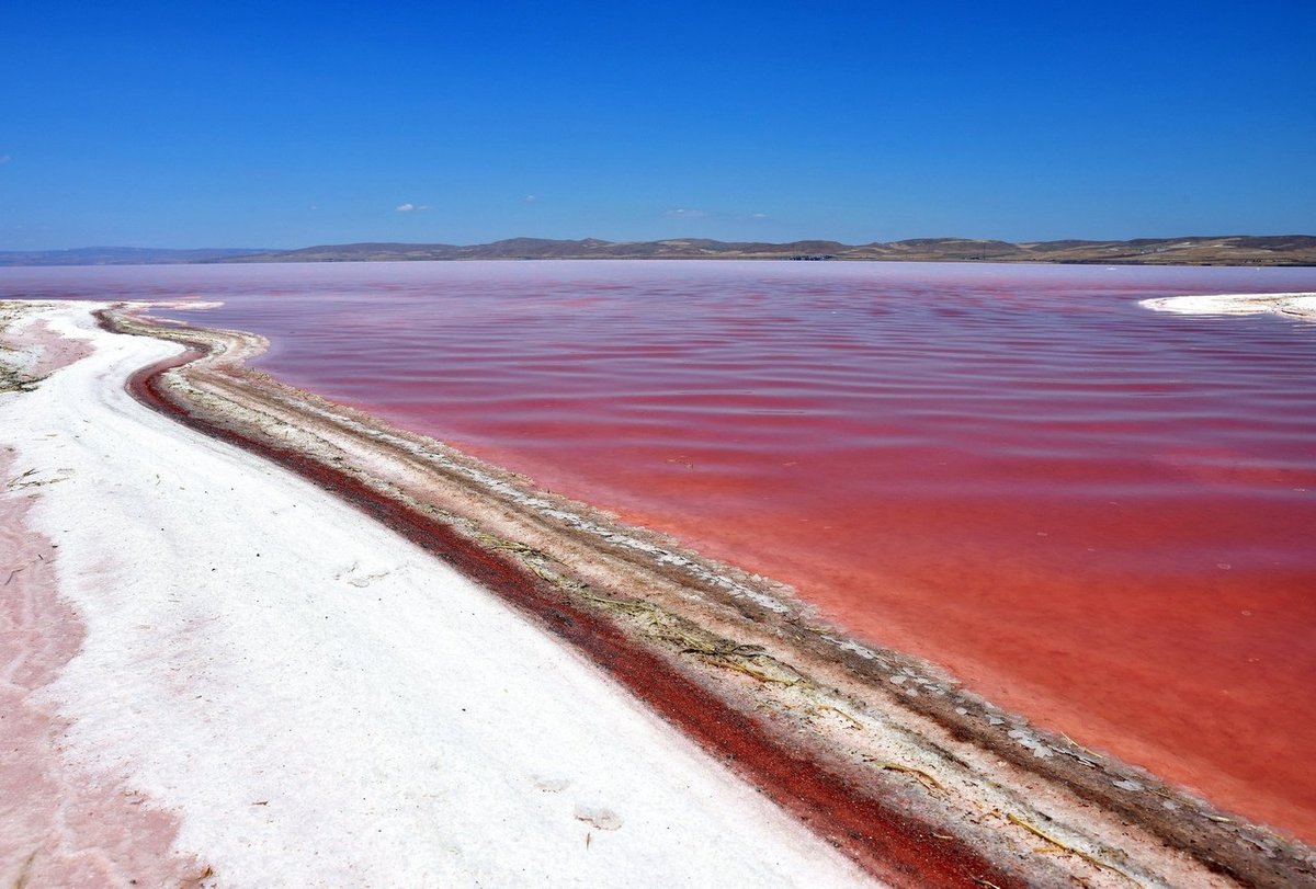 No es la piscina del diablo: este impresionante lago rosa de Turquía ...
