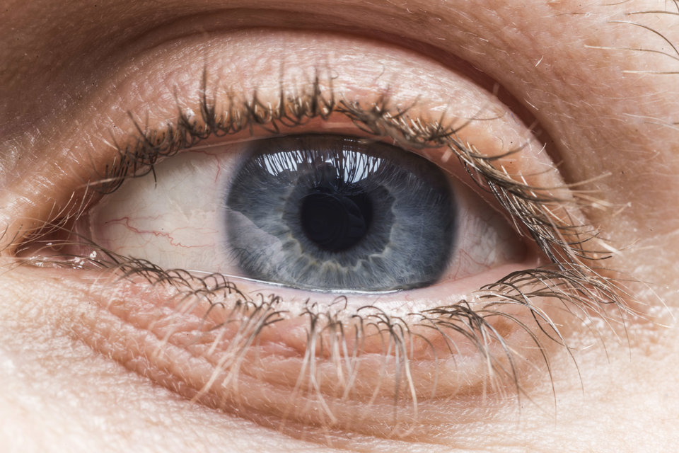 Faszinierende Großaufnahmen zeigen, dass jedes Auge einzigartig ist