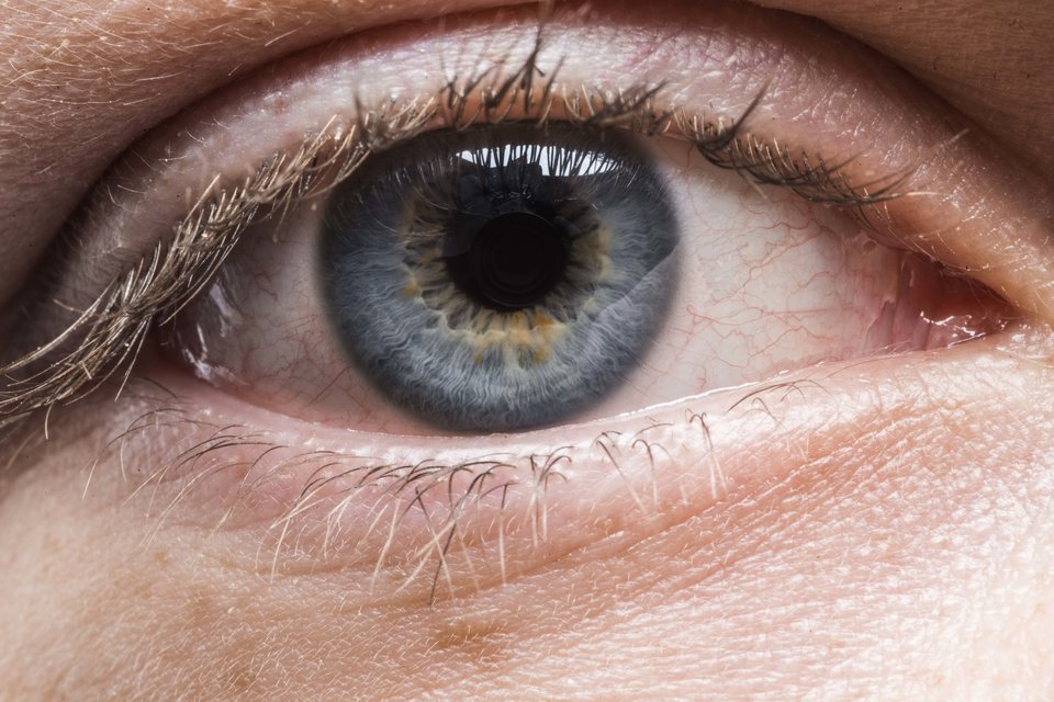 Faszinierende Großaufnahmen zeigen, dass jedes Auge einzigartig ist