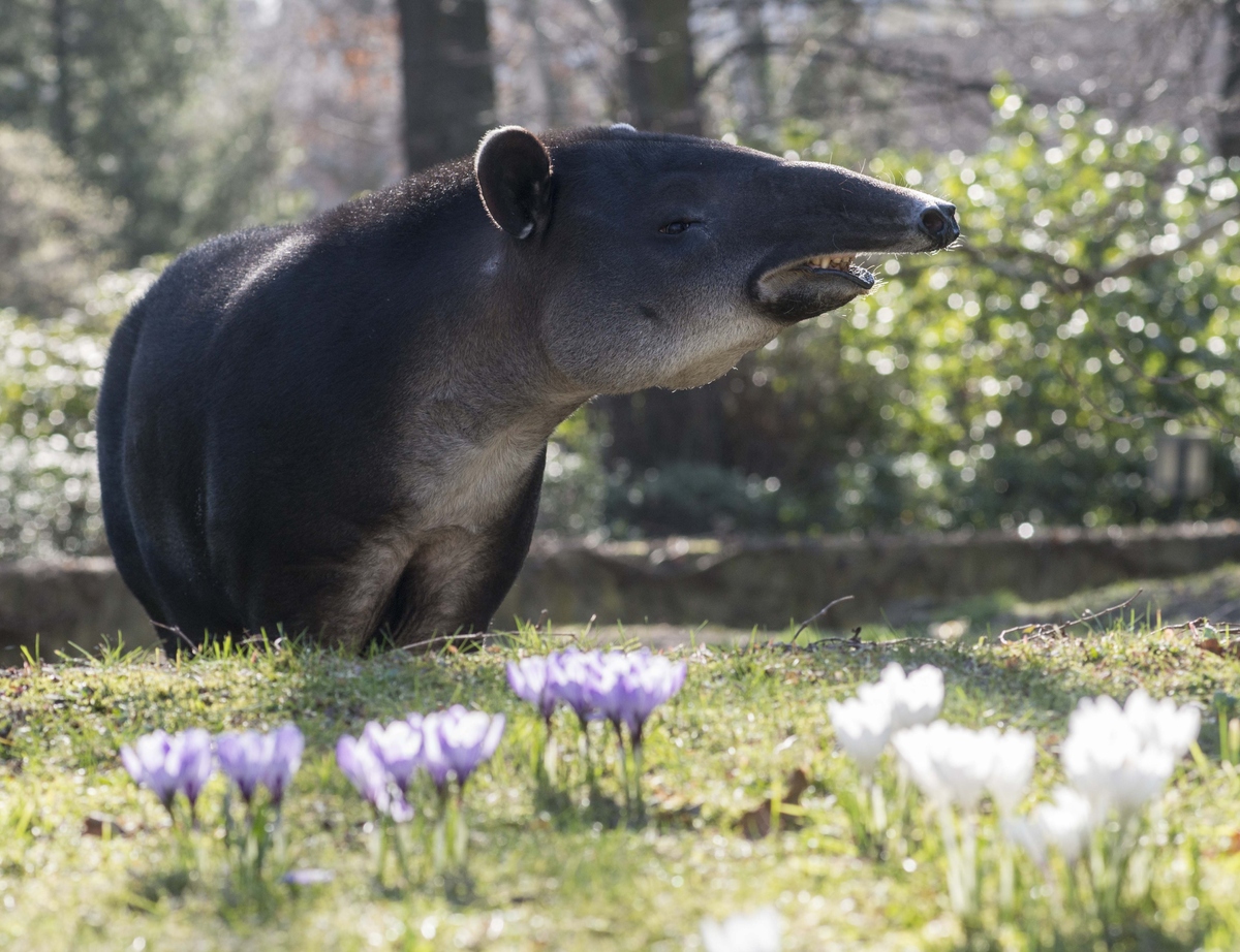 24 Animals Enjoying Spring Weather.. Just Like Us