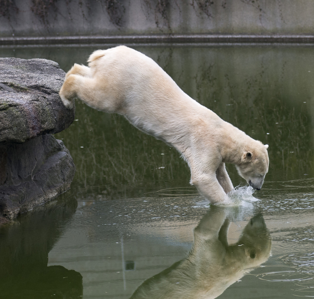 24 Animals Enjoying Spring Weather.. Just Like Us