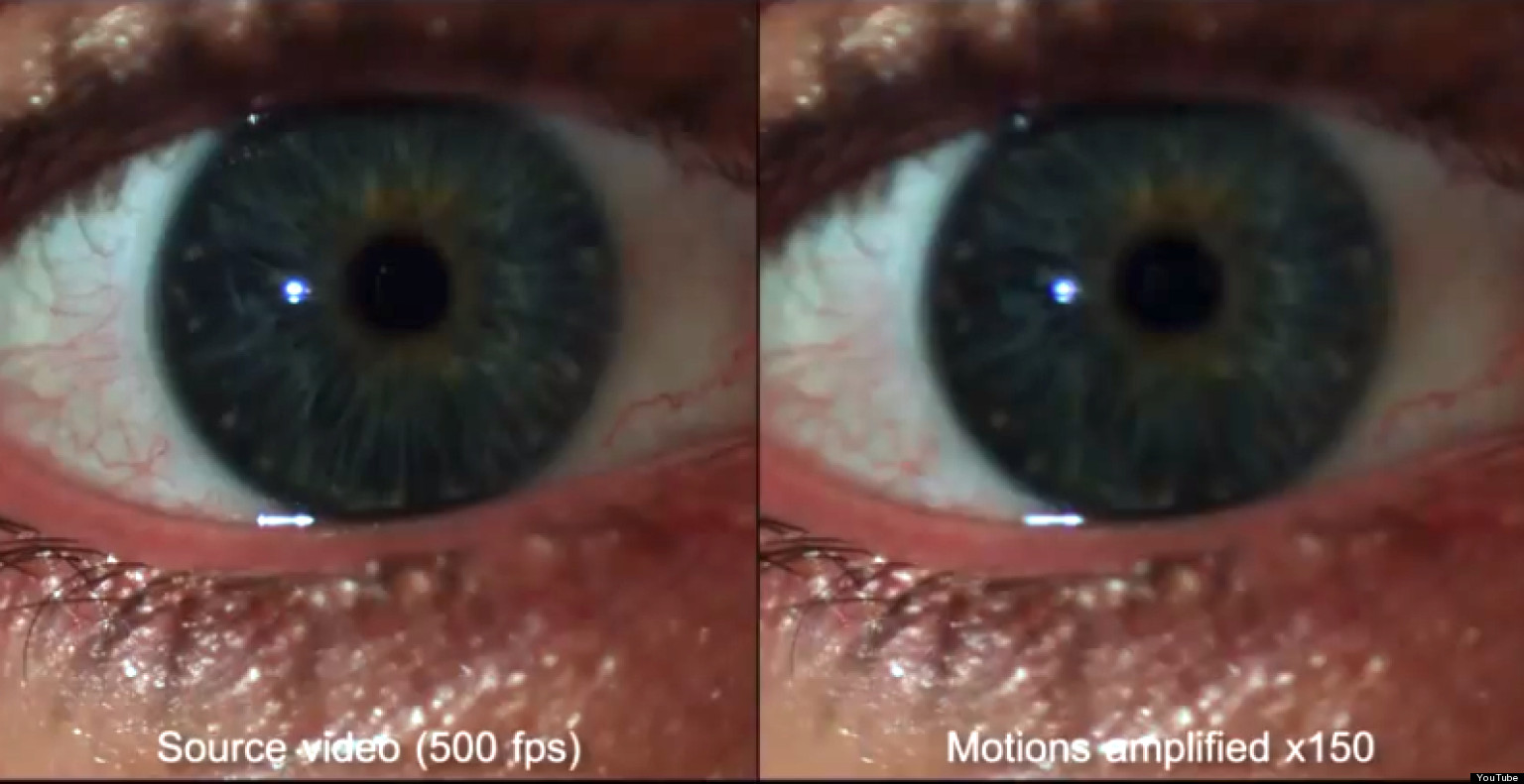 'Invisible Motion' VIDEO From MIT Reveals Movement, Colors Too Subtle ...