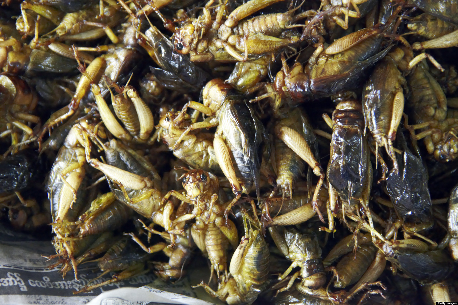 Israel's Locust Invasion Offers Intriguing Options For Cuisine | HuffPost