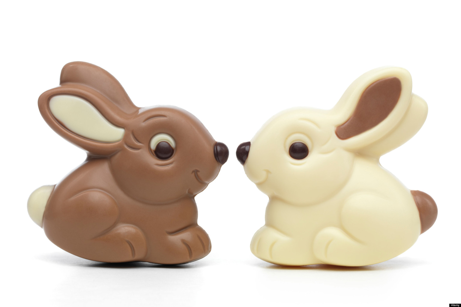 Cute Chocolate Bunny