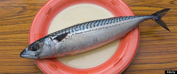 Eating Oily Fish Can Extend Life, Study Suggests