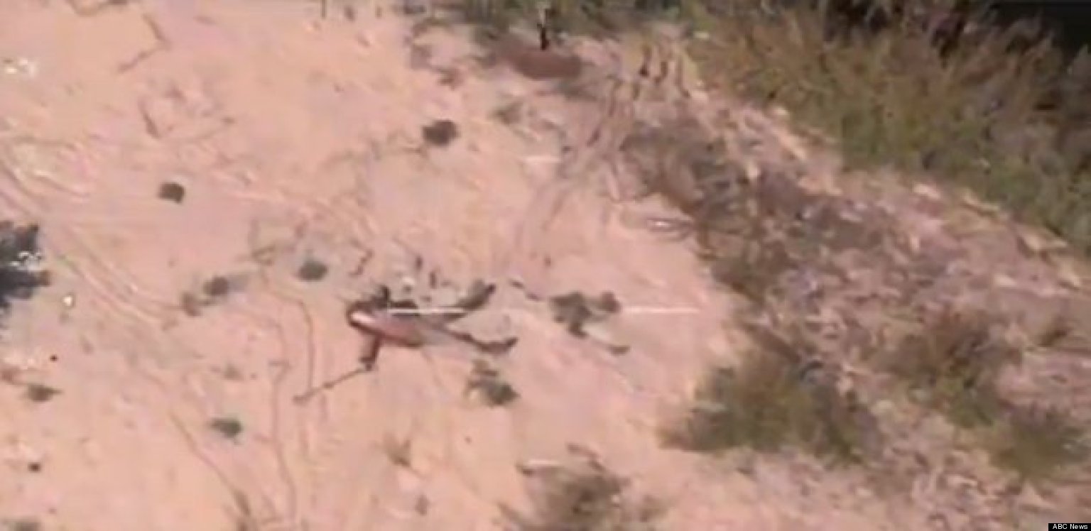 Lynette And The Lost