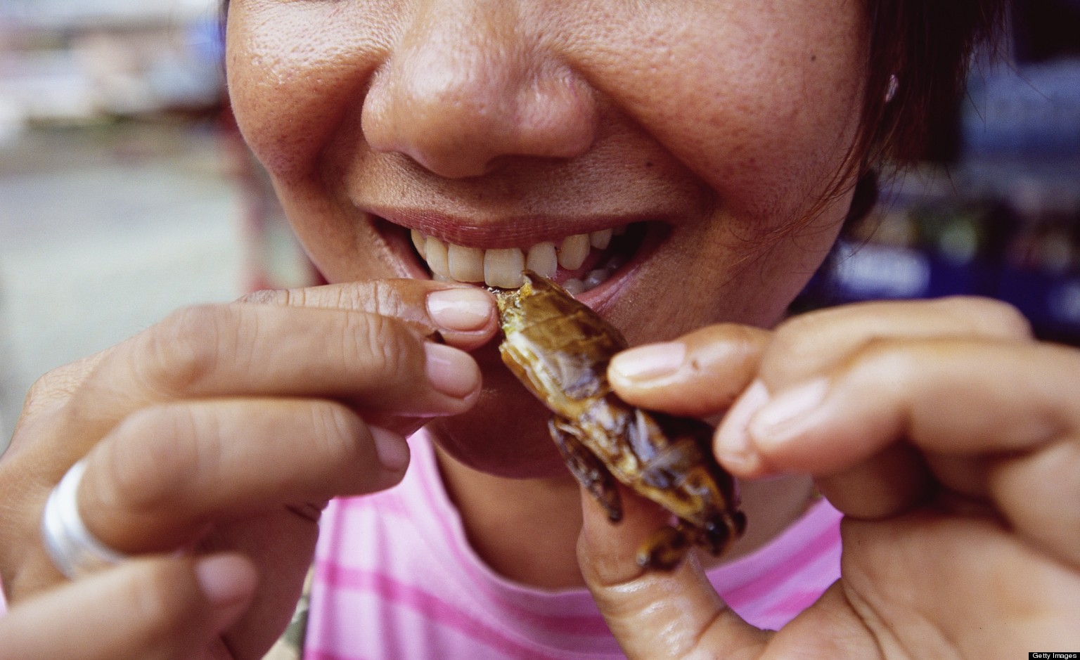 Cicada Recipes: 10 Ways To Use Cicadas In Your Next Soup, Sandwich Or ...