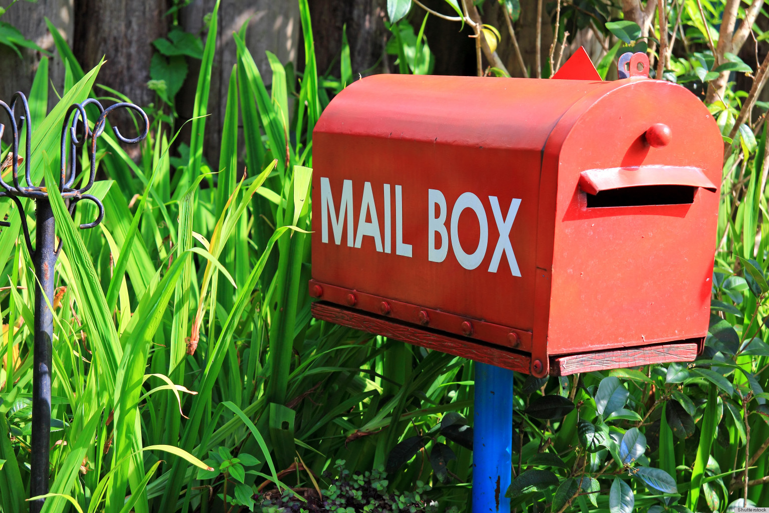 Cleaning Your Mailbox Is Super Important Because It's A Germ Hot Spot ...
