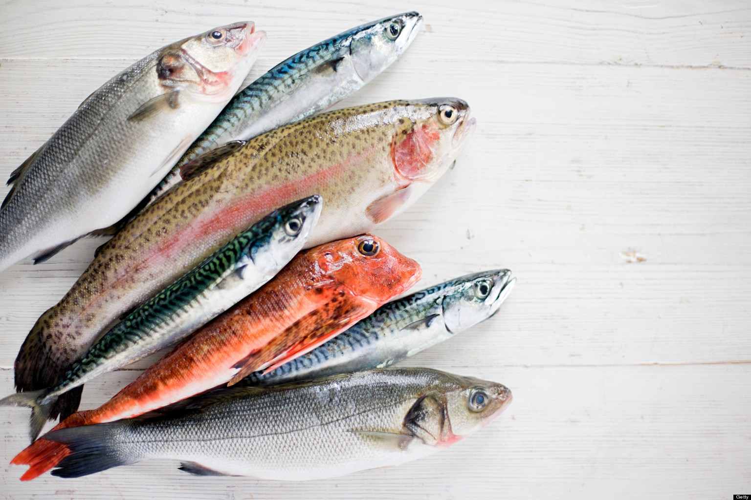 Fish To Eat