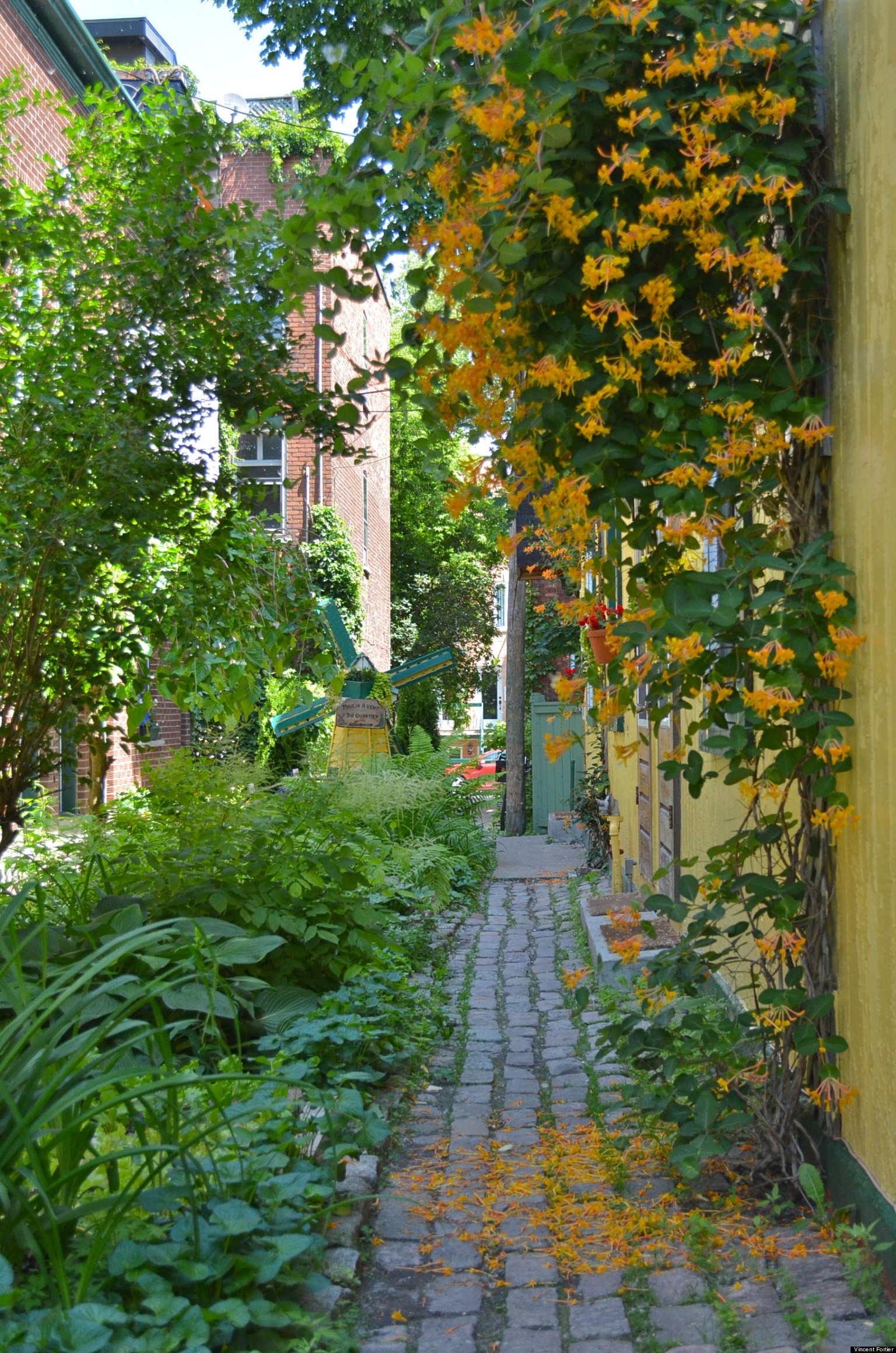 15 ruelles vertes de Montréal en photos