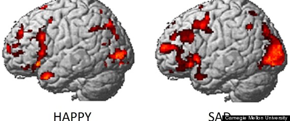 Inside The Emotional Brain