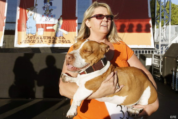 Los perros más "adorablemente feos".(FOTOS) - Forocoches