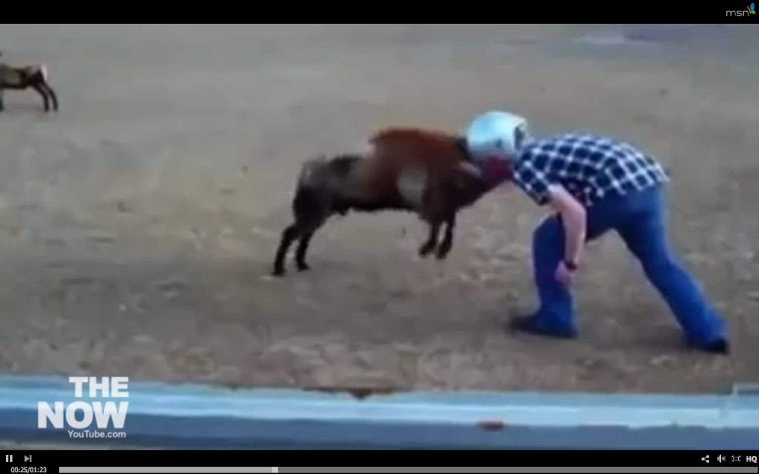 Man vs. Ram Viral Video Ends Pretty Much The Way You'd Expect | HuffPost