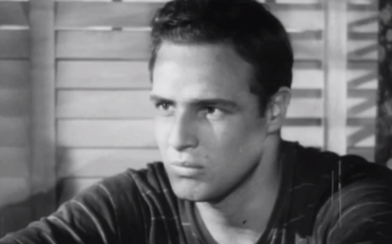 Marlon Brando Rebel Without A Cause